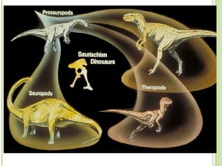 Archosaurs | PPT