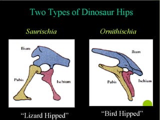 Archosaurs | PPT