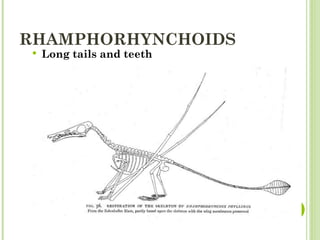 Archosaurs | PPT