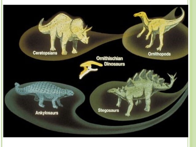 Archosaurs | PPT