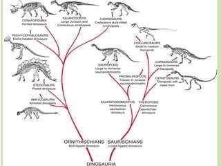 Archosaurs | PPT