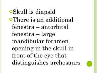 Archosaurs | PPT