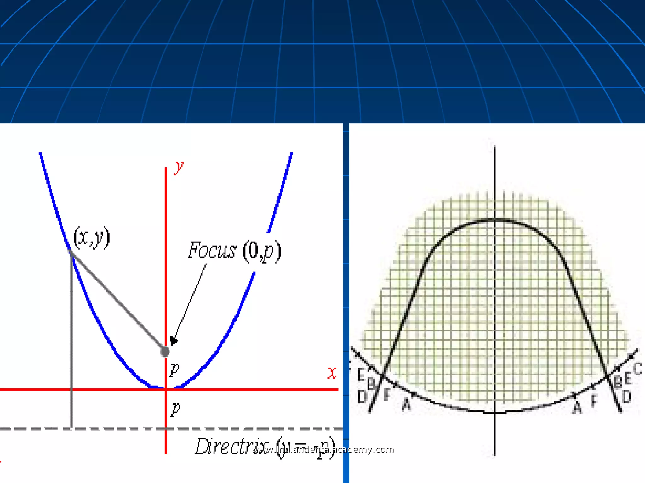 Arch Form in orthodontics /certified fixed orthodontic courses by ...