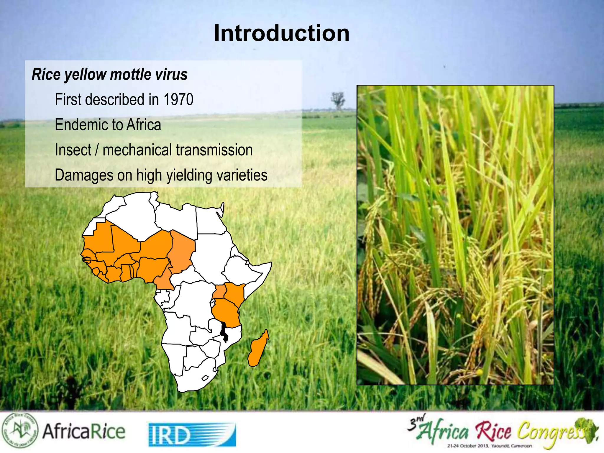 Th1_Towards the identification of genetic factors that control ...