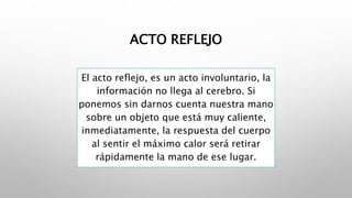 Arco reflejo | PPTX