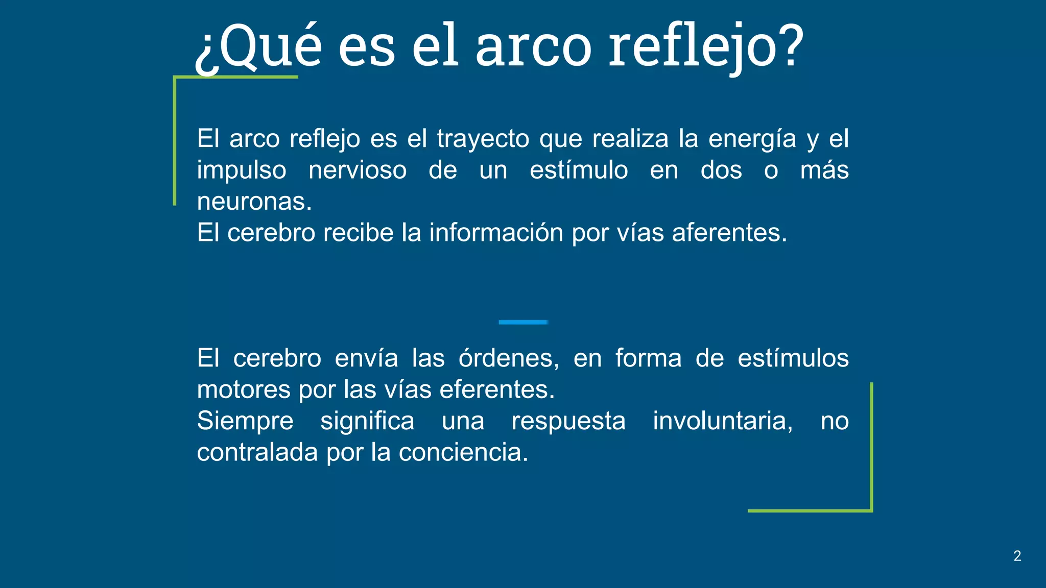 Arco reflejo humano | PPTX