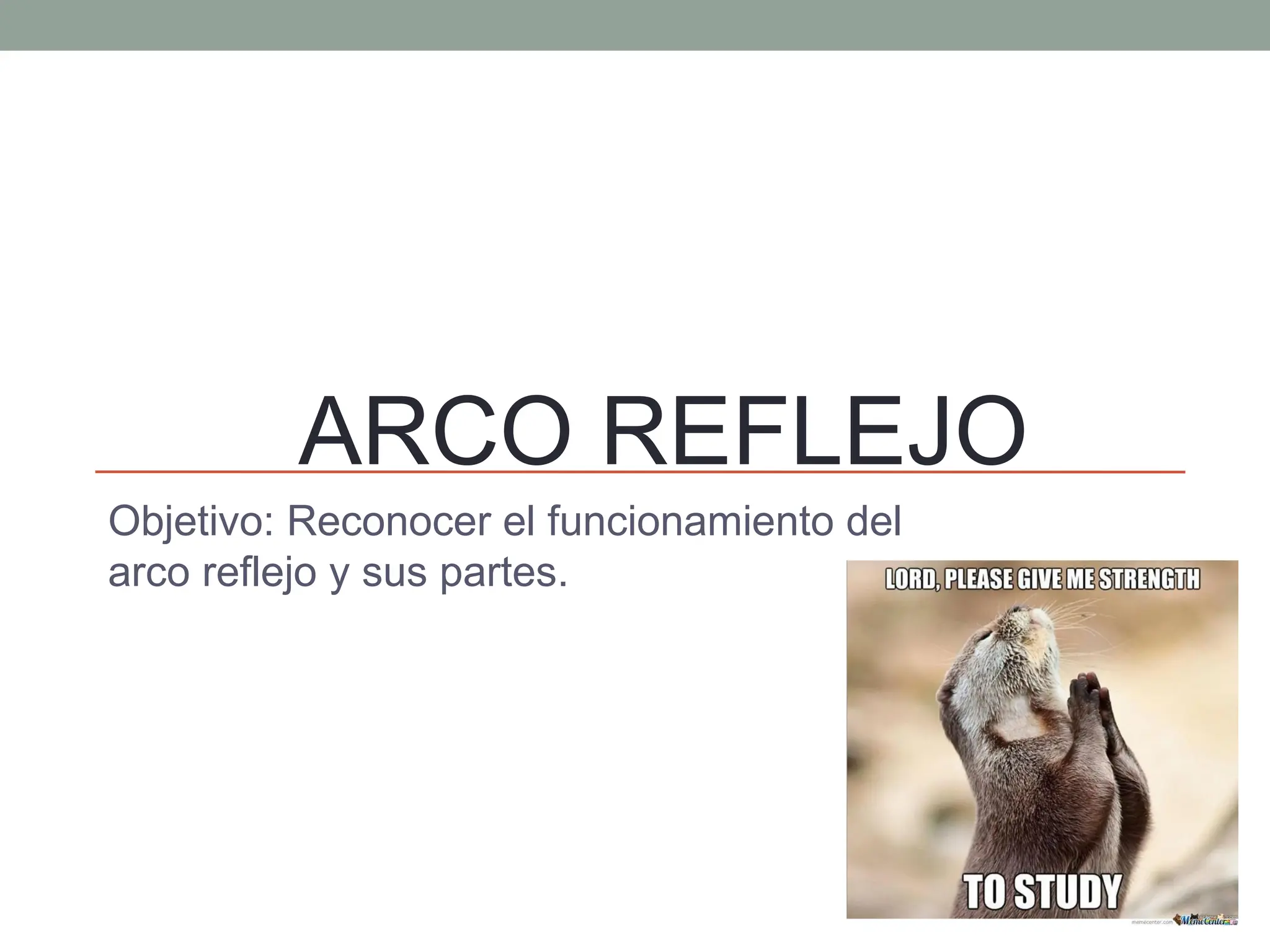 Arco Reflejo.ppt sistema nervioso periferico | PPT