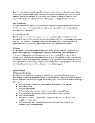 Arco reflejo 2 | DOCX