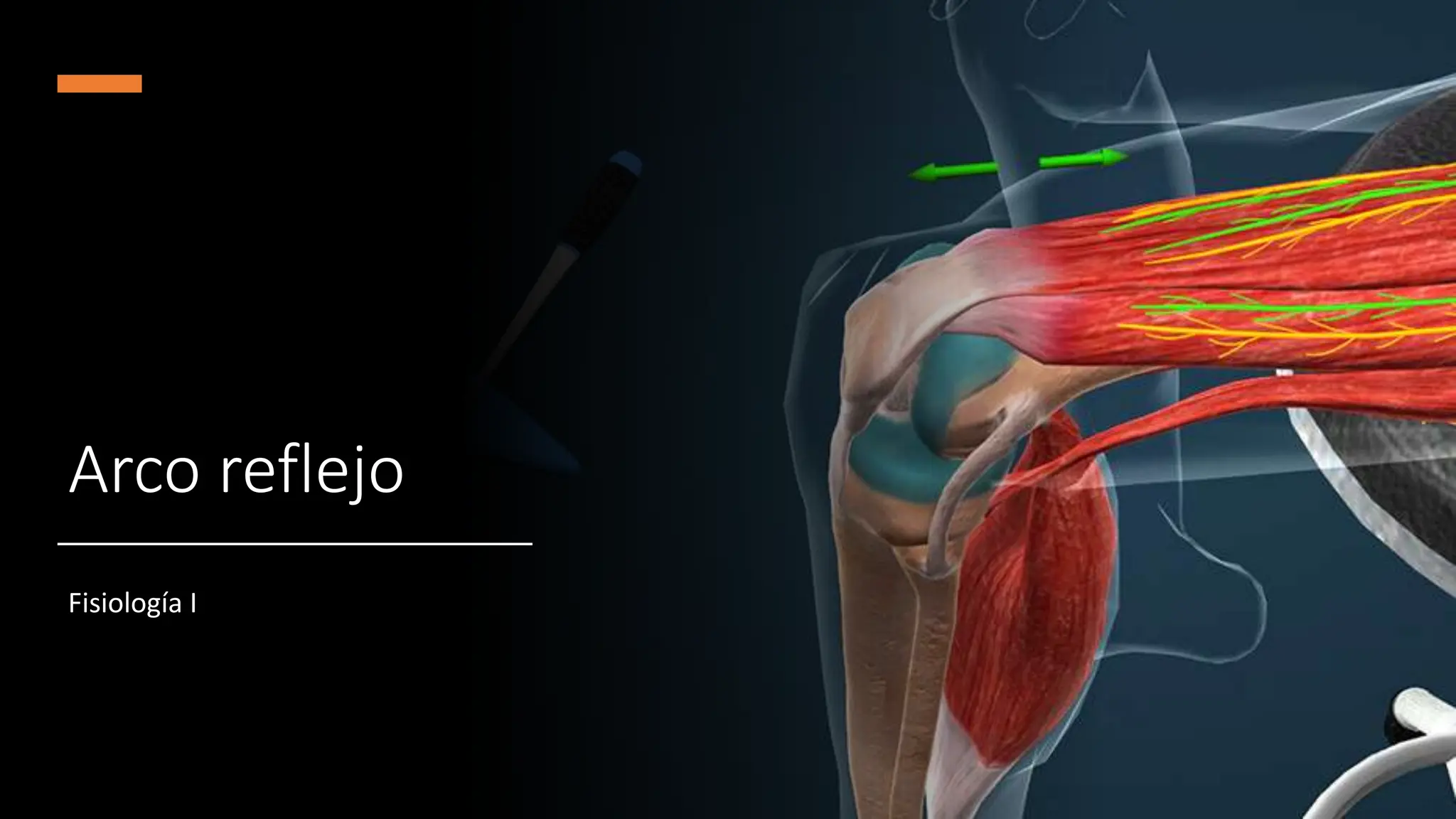 Arco reflejo como comprenderlo y ya jjjj | PPTX