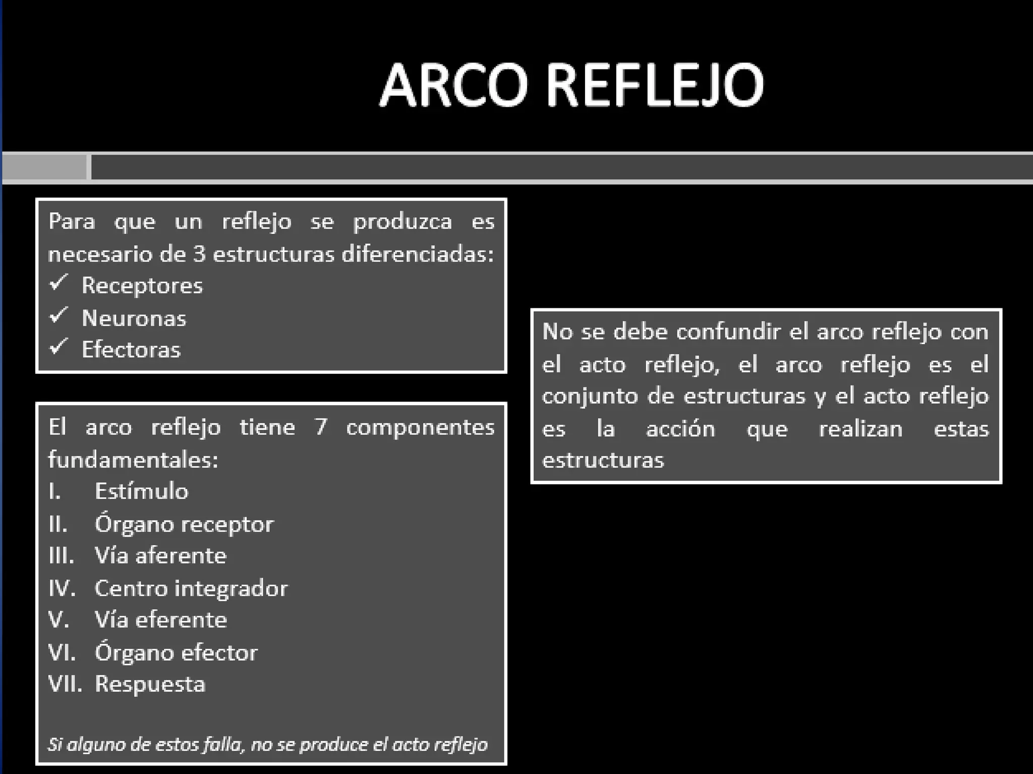 Arco reflejo fisiologia exposicion | PPT