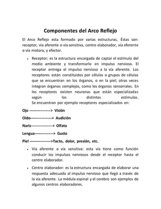 Arco reflejo fisiologia sustentacion | DOCX