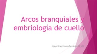 Arcos branquiales y embriología de cuello.pptx