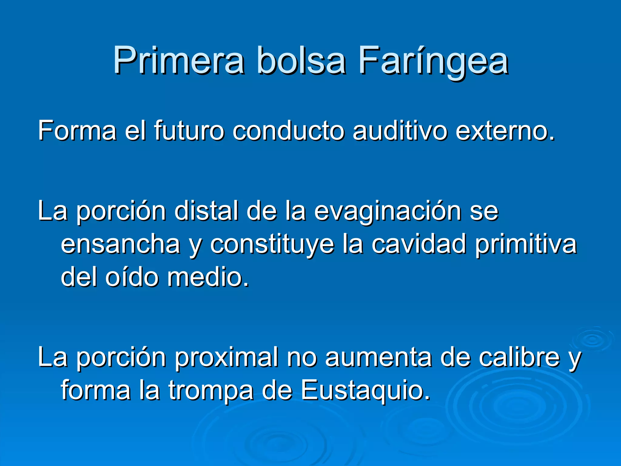 Arcos, Hendiduras Y Bolsas FaríNgeas | PPT