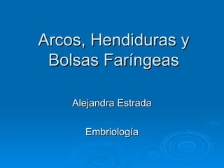 Arcos, Hendiduras Y Bolsas FaríNgeas | PPT