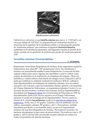 Arcqueobacterias | DOC