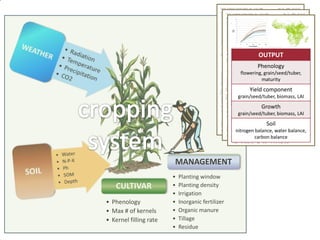 HarvestChoice Approach: Grid-based SSA-wide Crop Modeling System | PPT