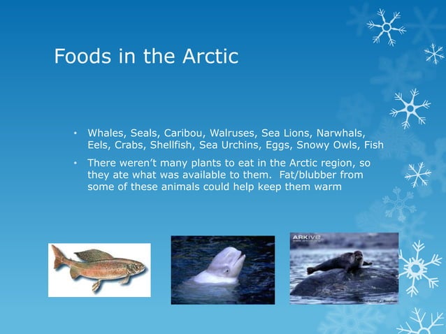 Arctic Native Americans | PPT