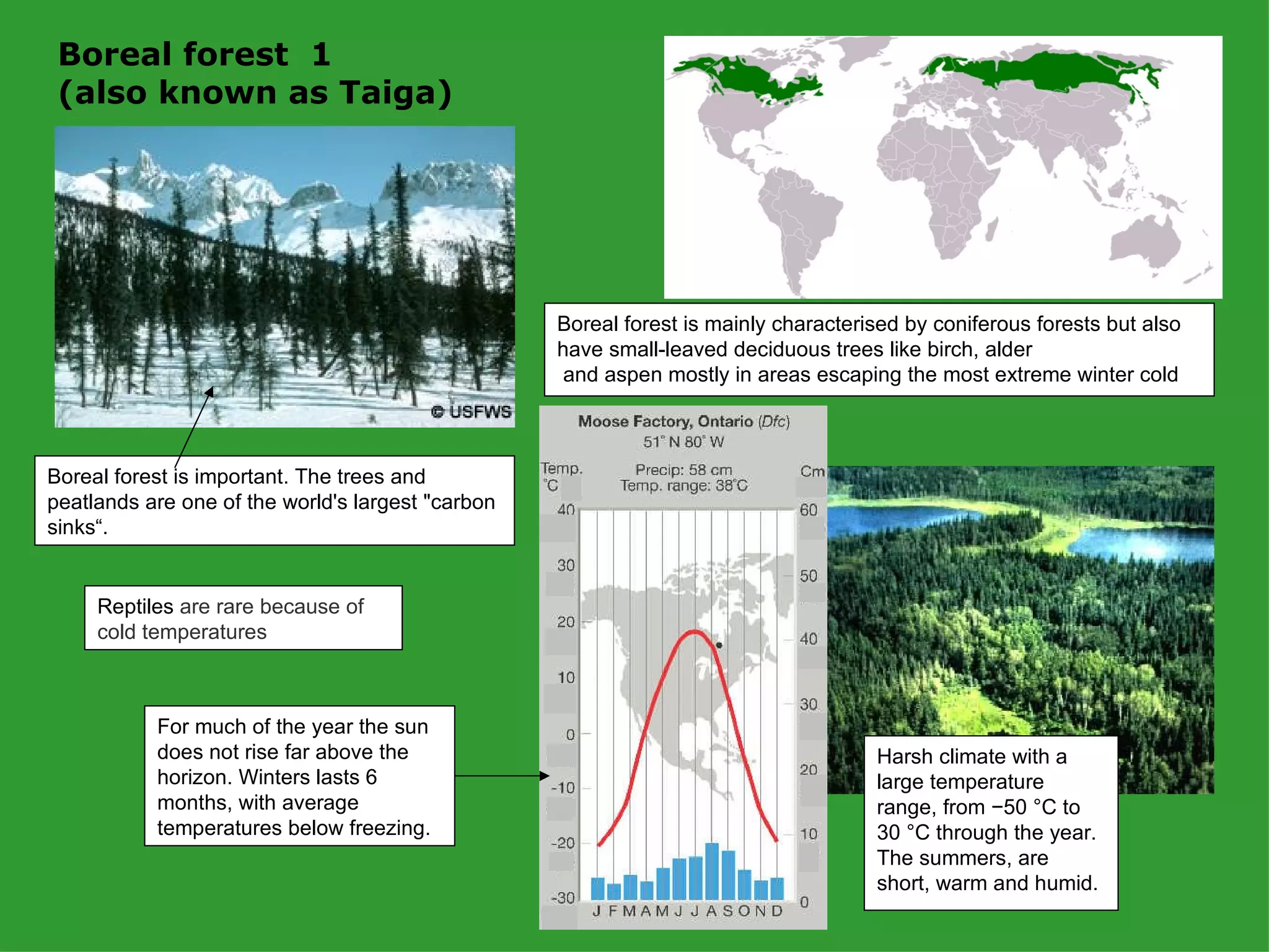 Arctic ecosystems | PPT
