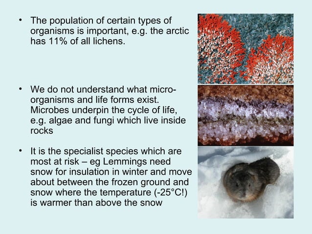 Arctic ecosystems | PPT