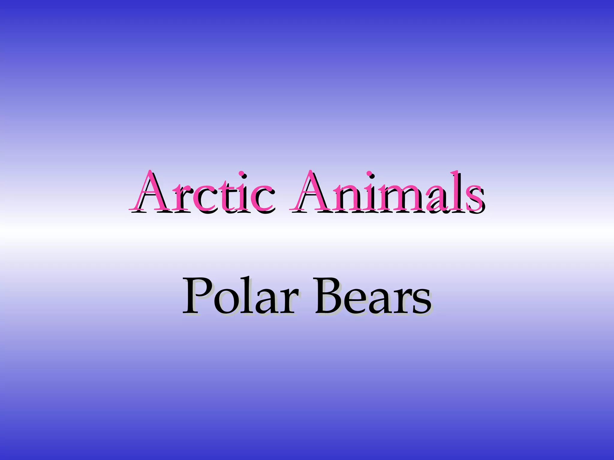 Arctic Animals | PPT