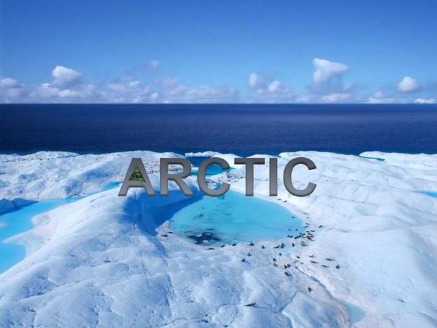 Arctic (1) | PPTX | Polar Travel | Travel Locations