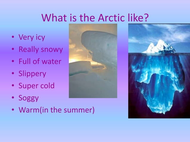 Arctic2 | PPT