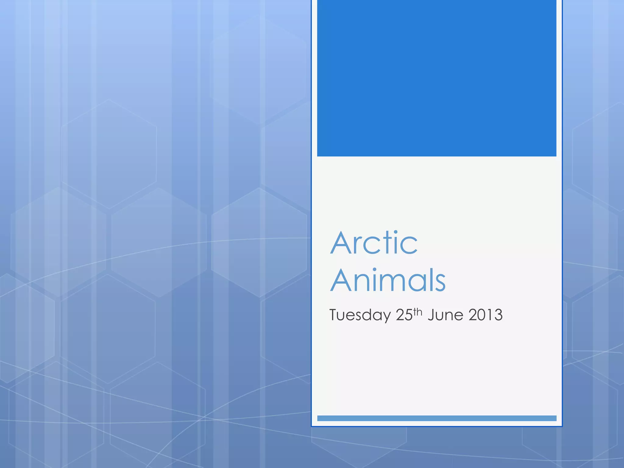 Arctic animals | PPT