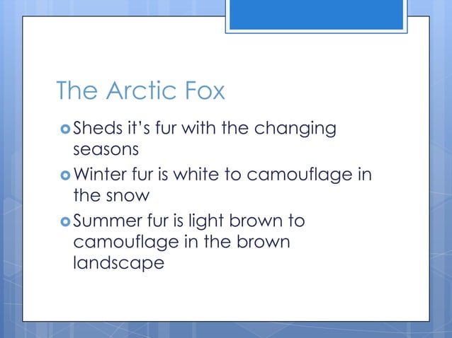 Arctic animals | PPT