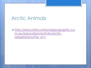 Arctic animals | PPTX