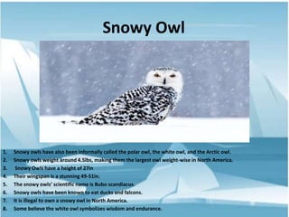 arctic animals for grade 6 for usage in ppt | PPT