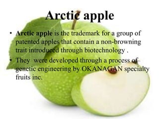 Arctic Apple.pptx