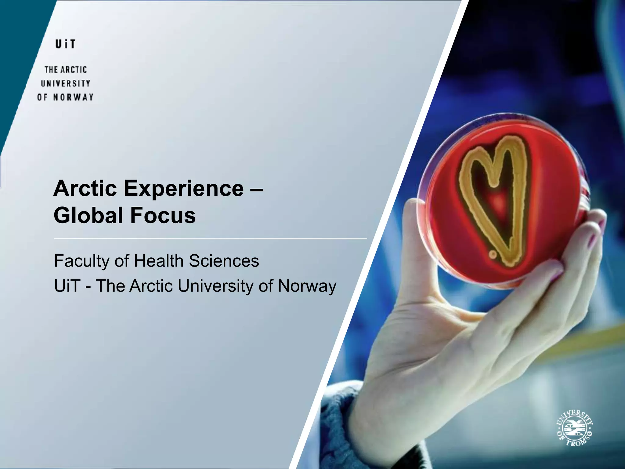 Arctic Experience - Global Focus | PPT