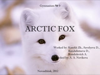Arctic fox | PPT