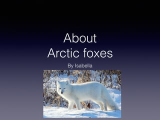 Arctic Foxes by Isabella | PDF