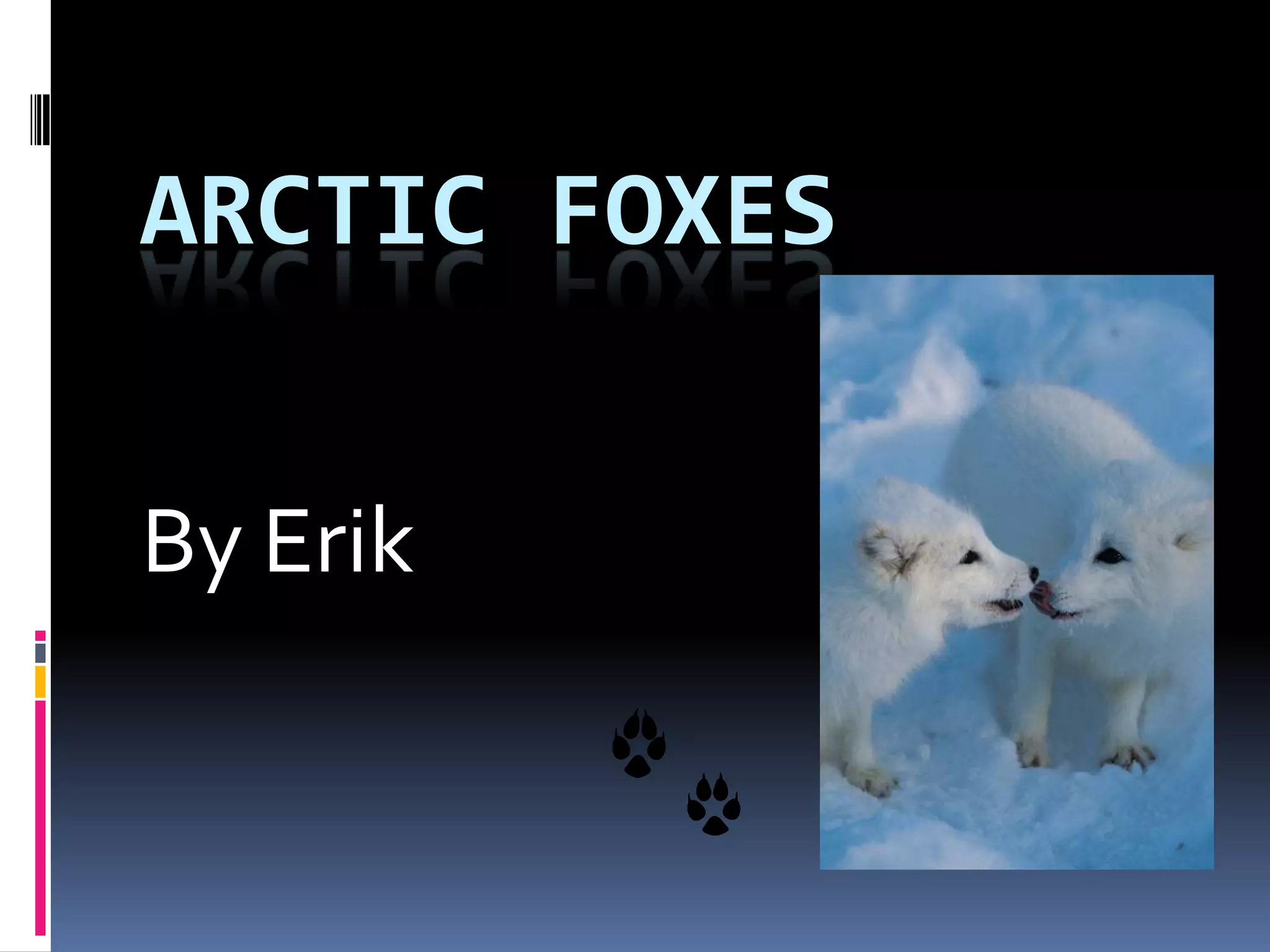 Arctic Foxes by Erik | PPTX