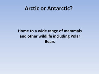 Arctic or Antarctic | PPTX | Polar Travel | Travel Locations