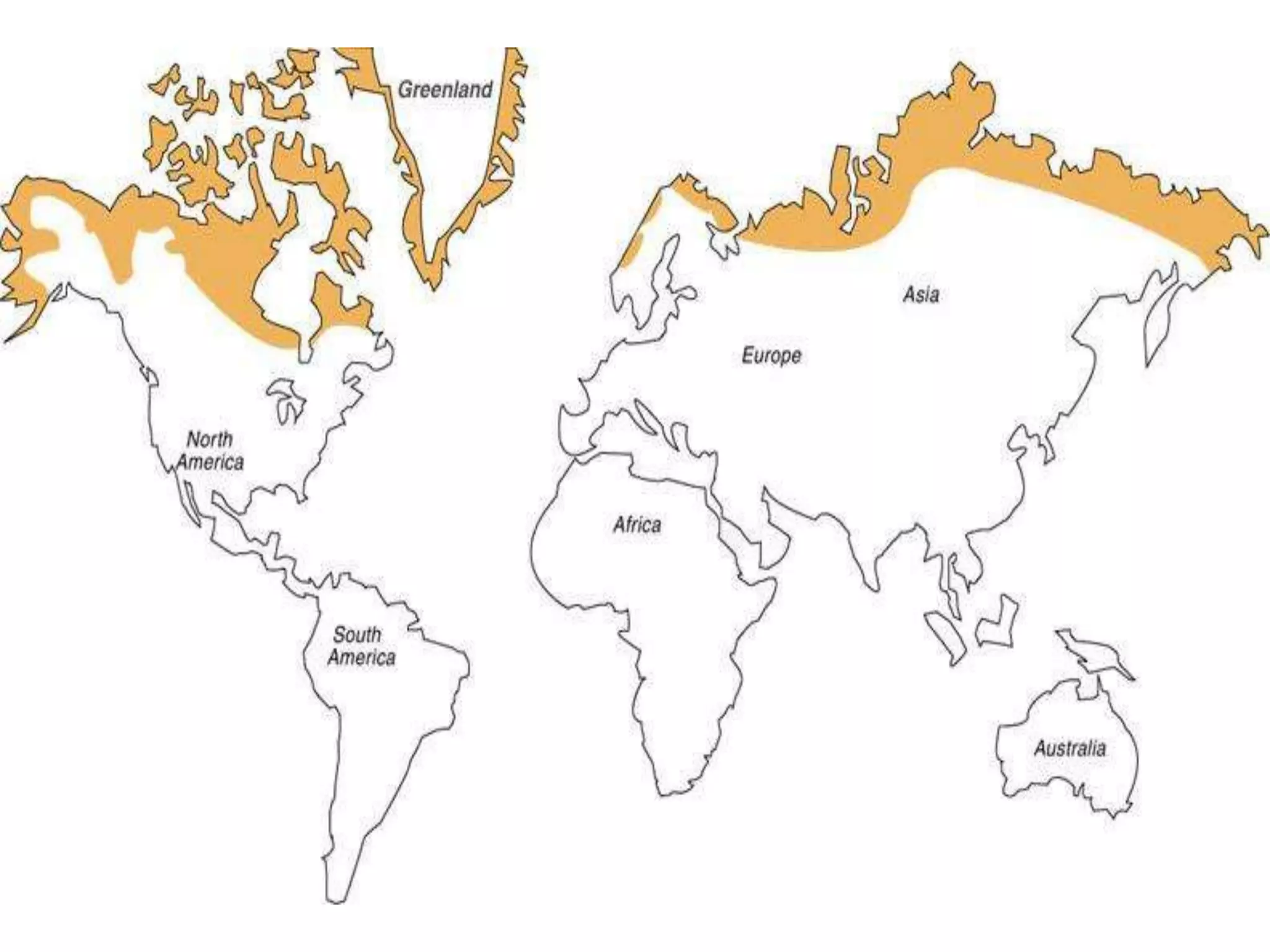 Arctic Tundra Biome Project | PPTX
