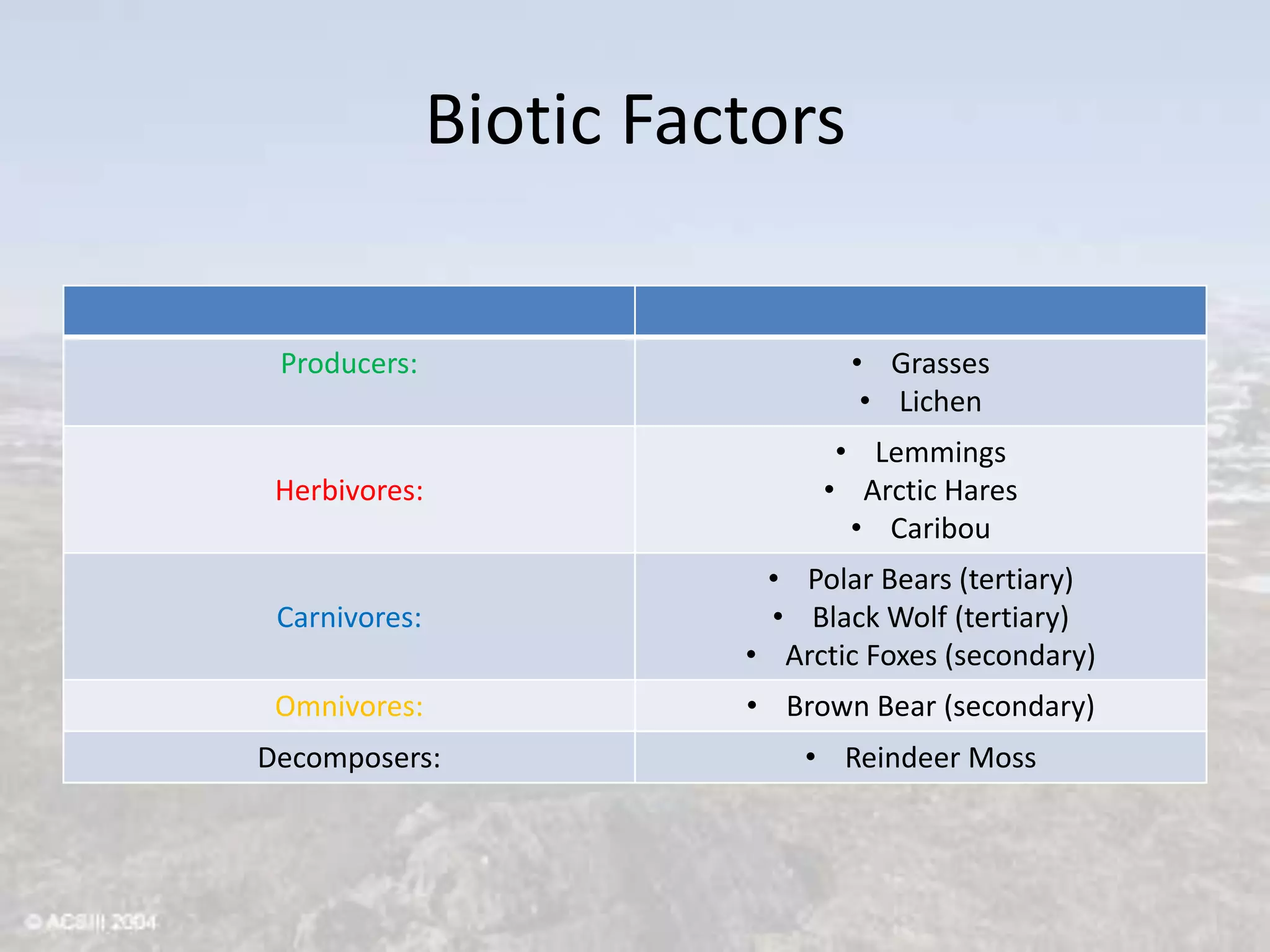 Arctic Tundra Biome Project | PPTX