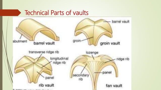 Arcuated stractures | PPTX