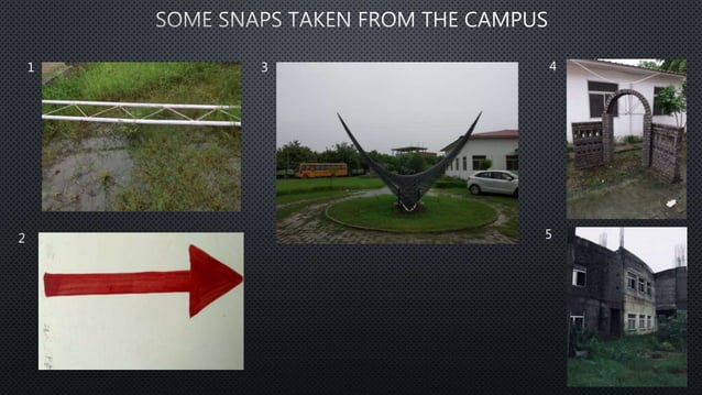 Arcuated structure ppt | PPT