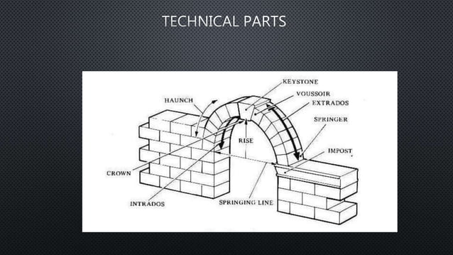 Arcuated structure ppt | PPT