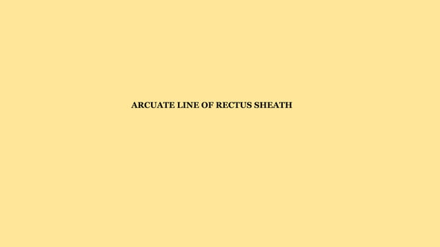 Arcuate line | PPT