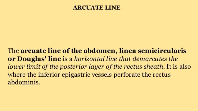 Arcuate Line