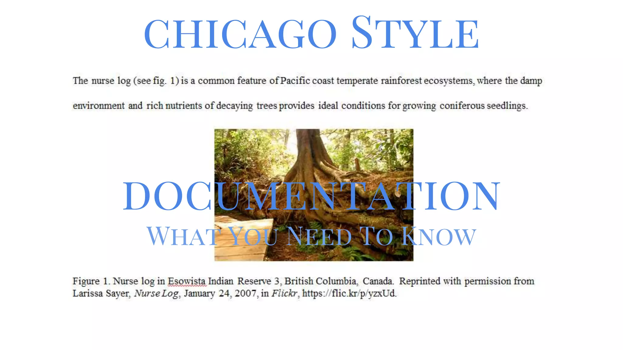 Chicago Style Documentation | PPTX