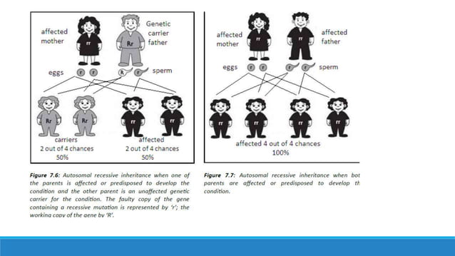 Autosomal recessive diseases | PPTX