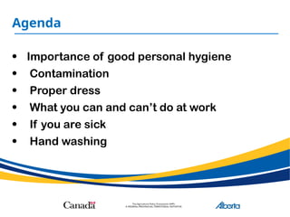 Hard-food-safety-training-personal-hygiene-presentation.ppt