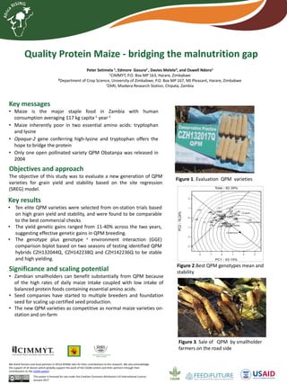 Quality protein maize—Bridging the malnutrition gap | PDF