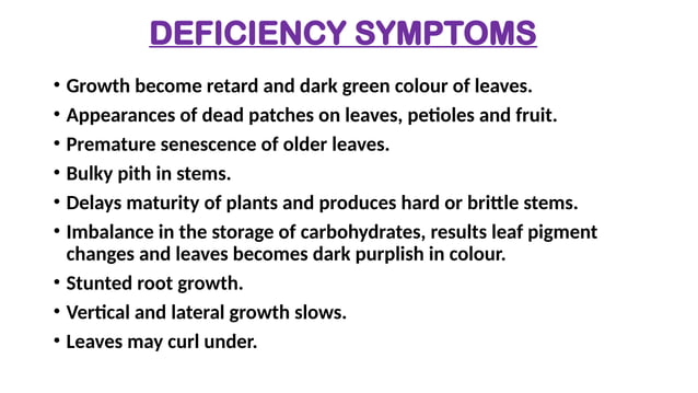 Phosphorus: advantage & disadvantages and deficiency symptoms in plants ...