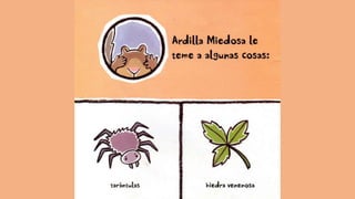 Ardilla miedosa | PPT