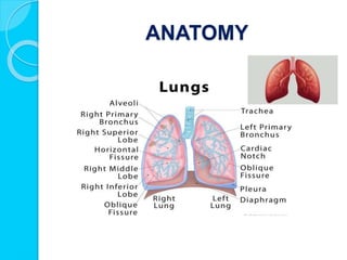 ACUTE RESPIRATORY DYSTRESS SYNDROME | PPTX
